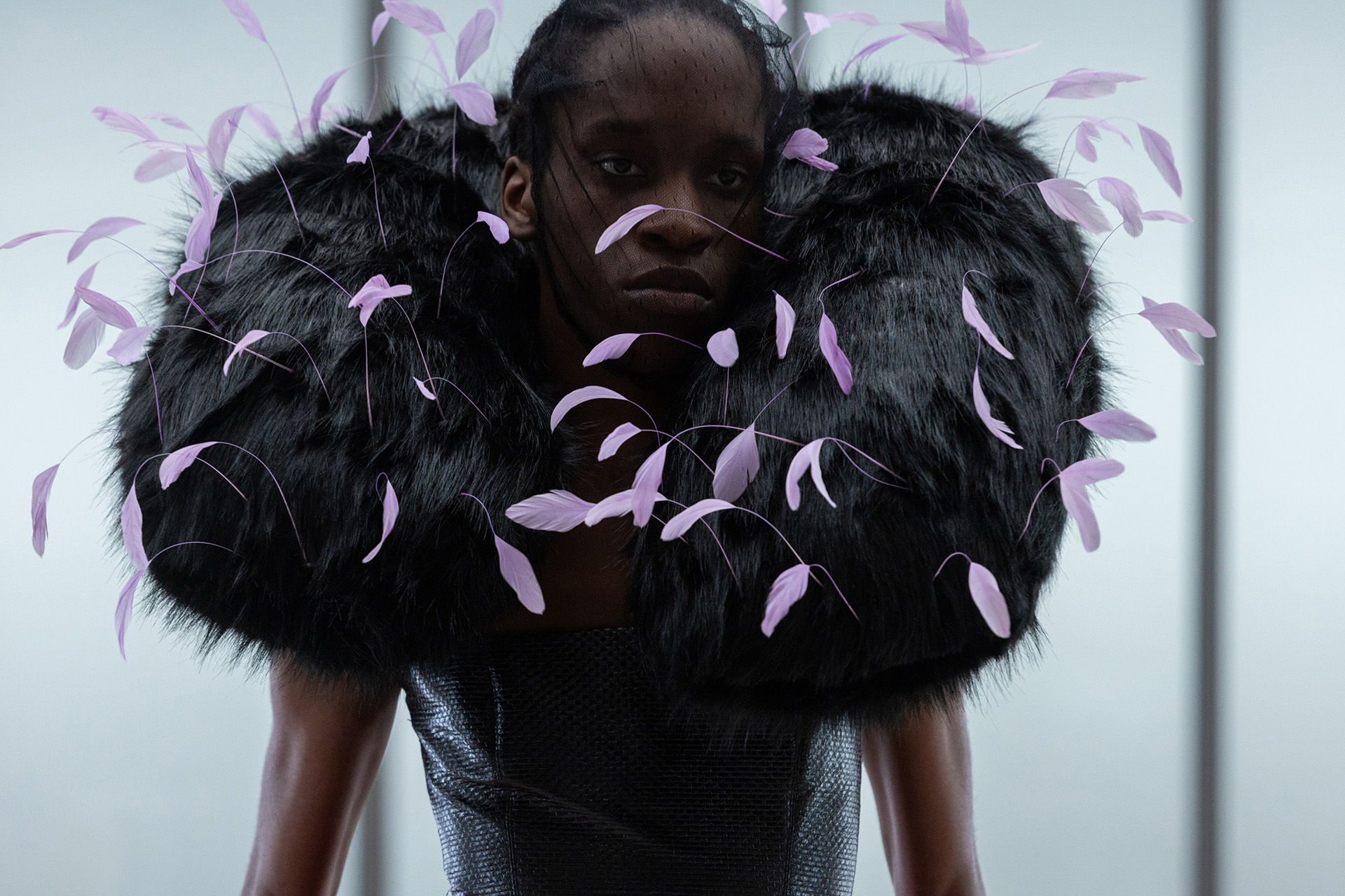 Delia Wade - Master of Arts Graduate Show